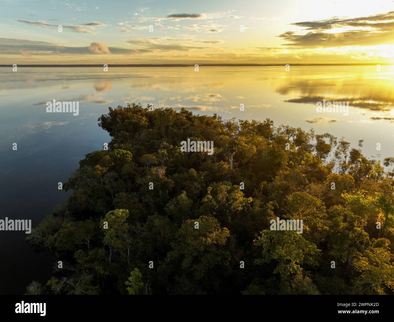 Amazon rainforest Brazil Stock Photo - Alamy