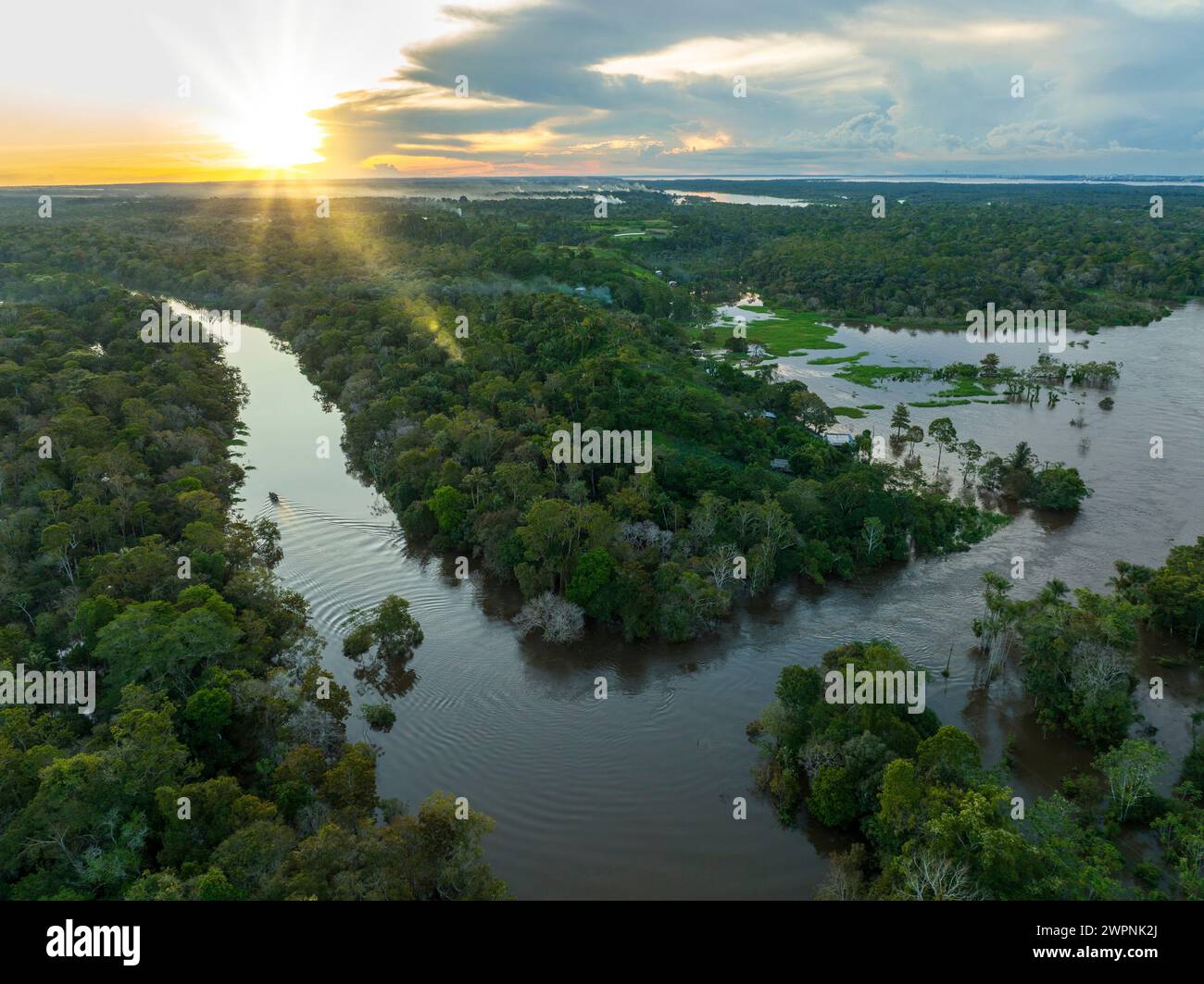 Amazon rainforest Brazil Stock Photo - Alamy
