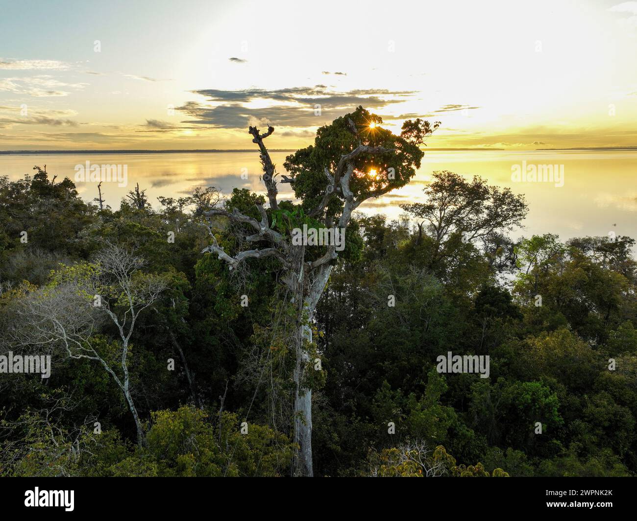 Aerial view amazon rainforest brazil hi-res stock photography and ...