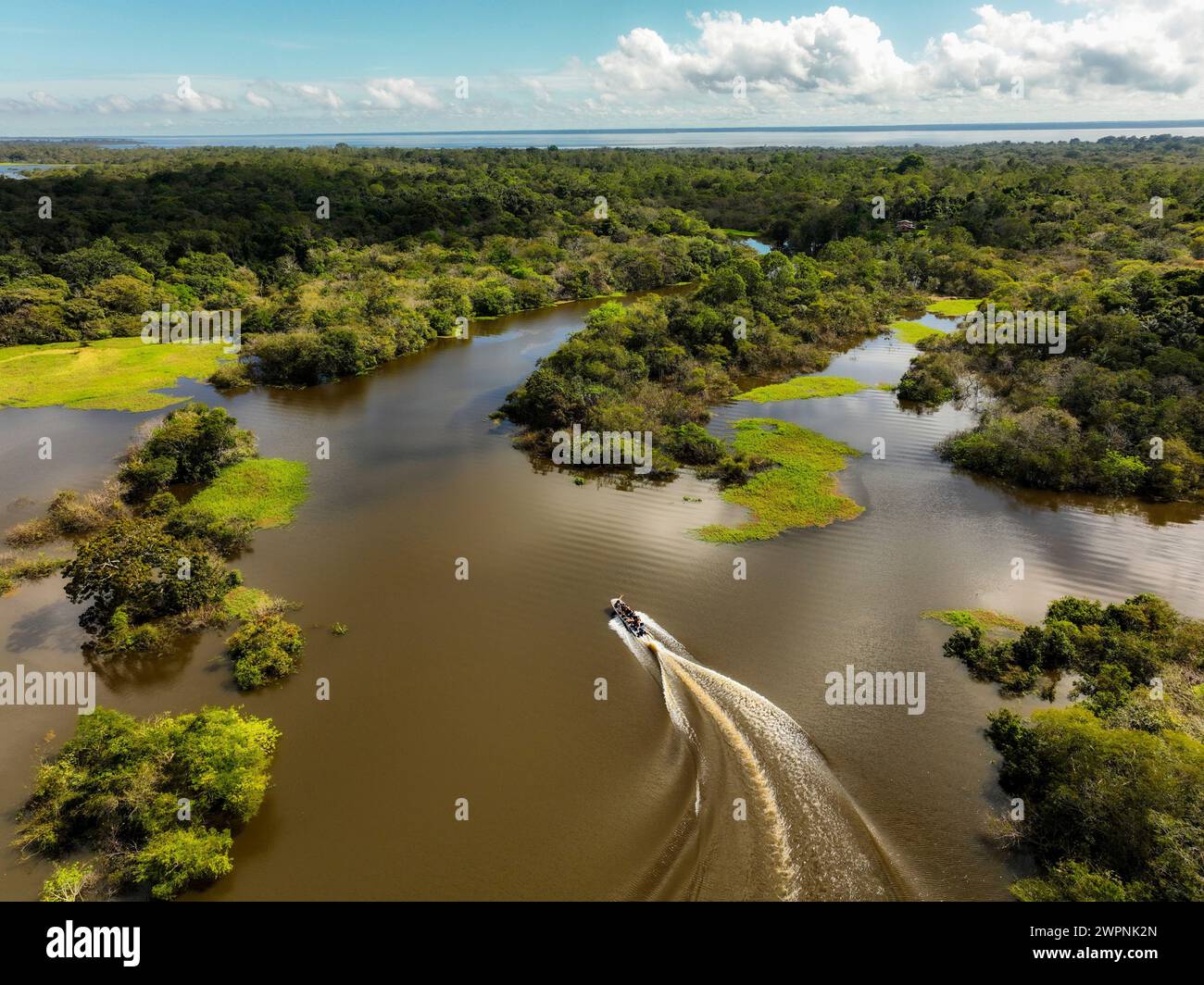 Amazon rainforest Brazil Stock Photo - Alamy