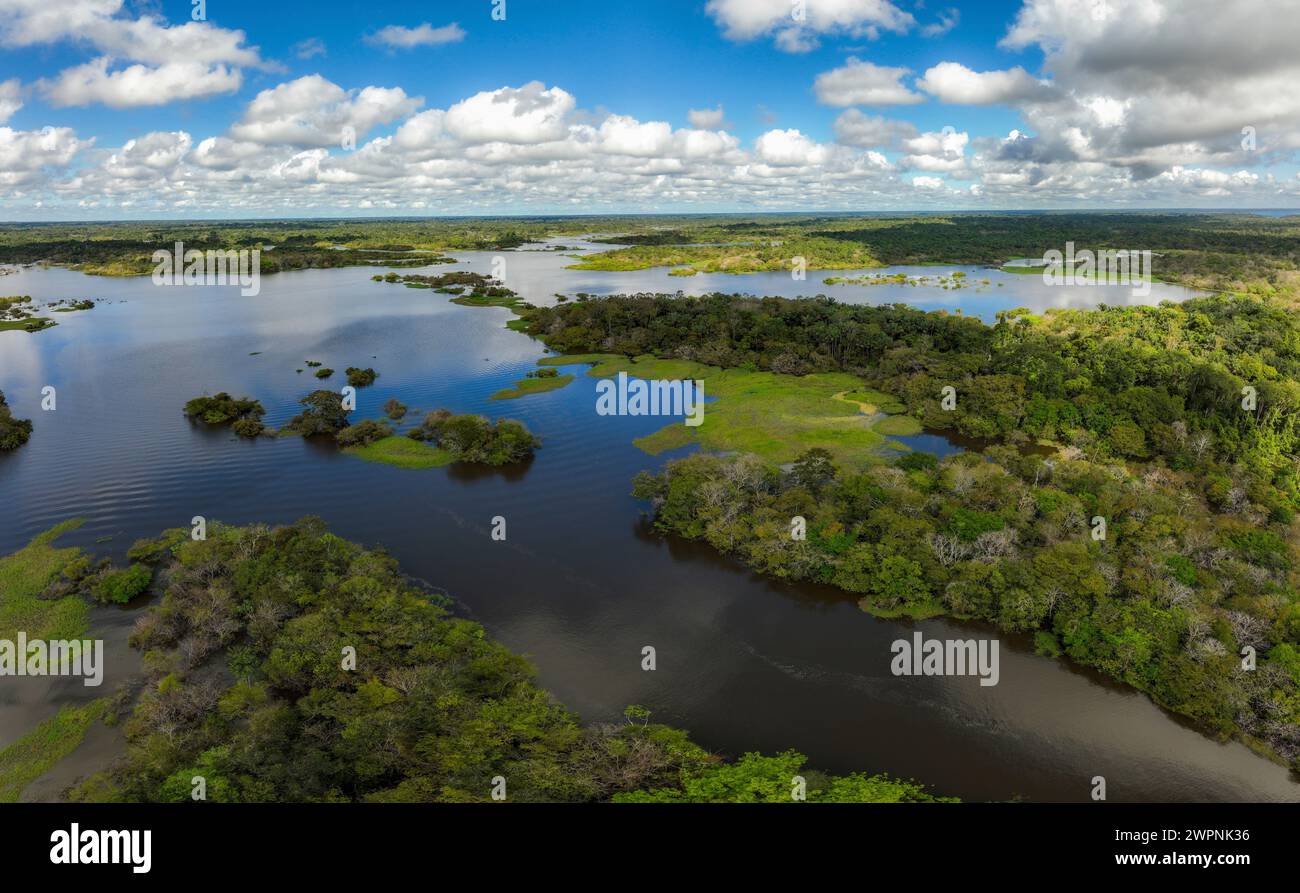 Amazon rainforest Brazil Stock Photo - Alamy