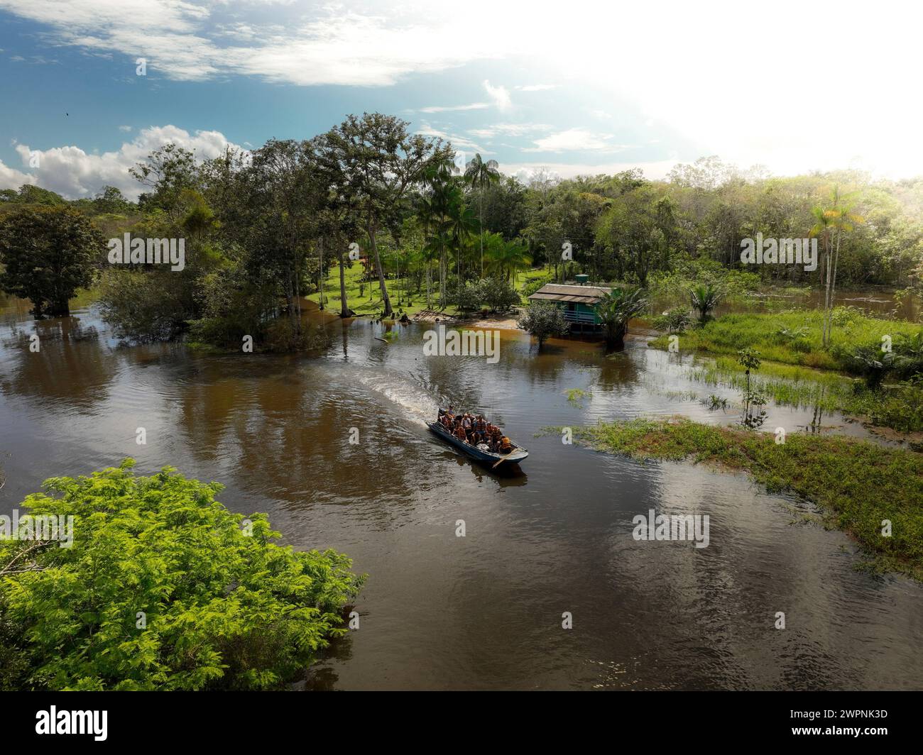 Amazon rainforest Brazil Stock Photo - Alamy