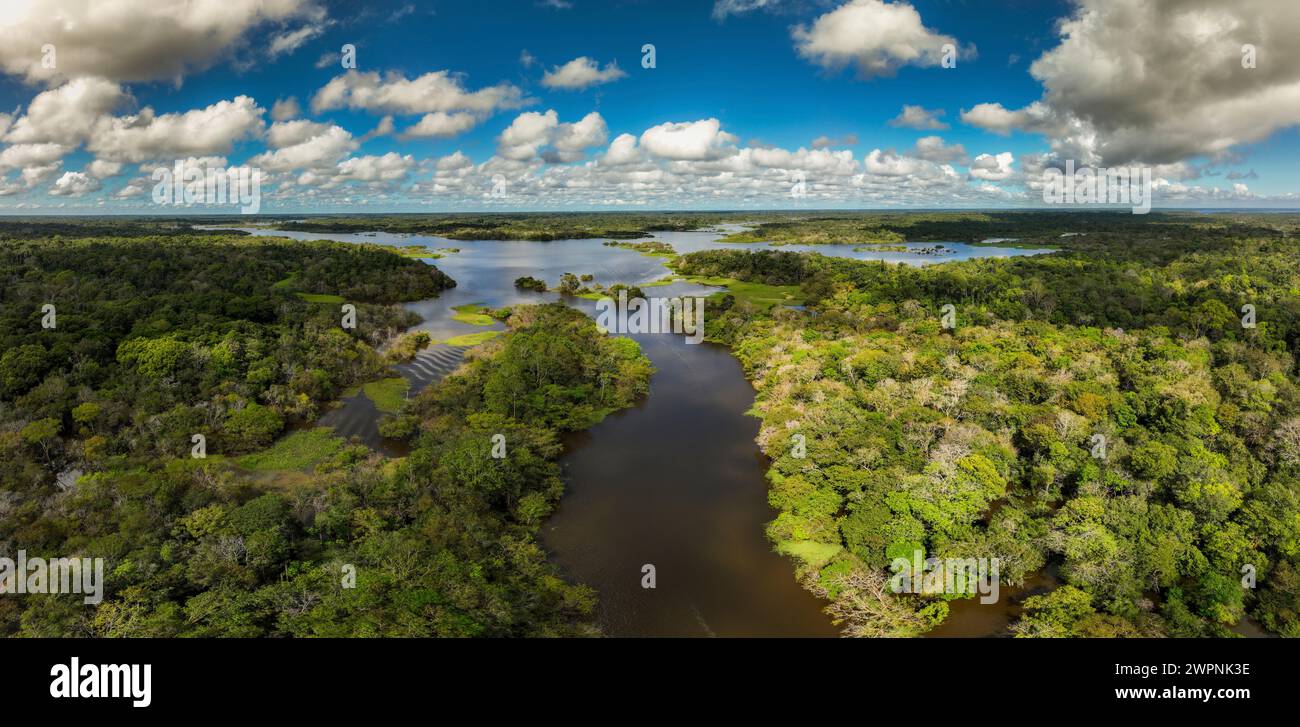 Amazon rainforest Brazil Stock Photo - Alamy