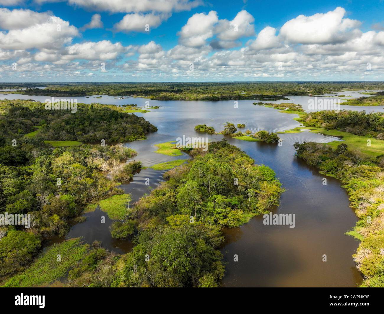 Amazon rainforest brazil hi-res stock photography and images - Alamy