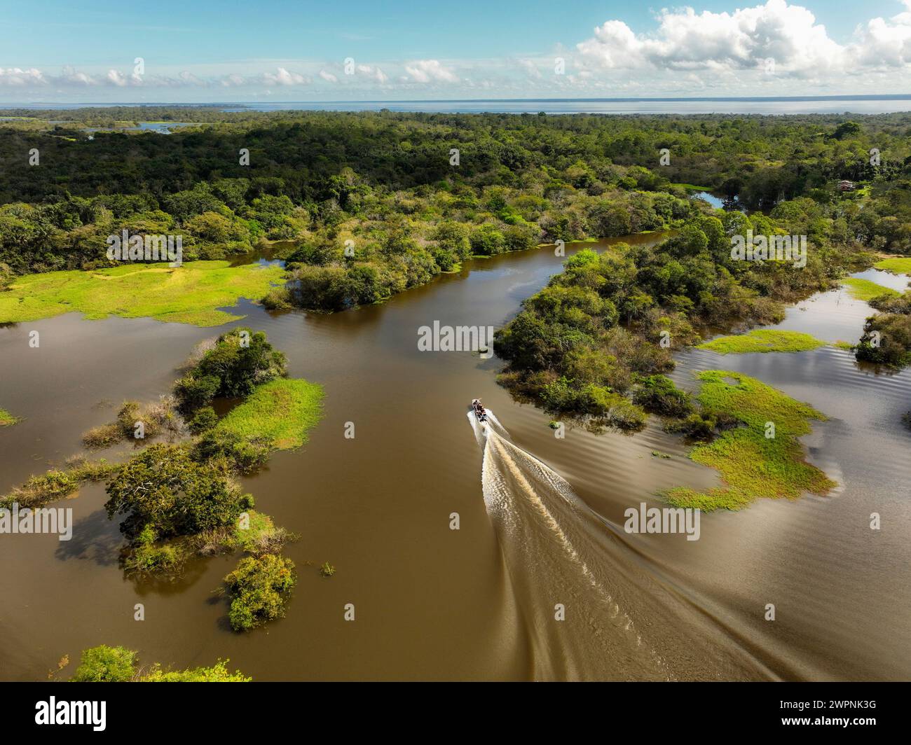 Amazon rainforest Brazil Stock Photo - Alamy