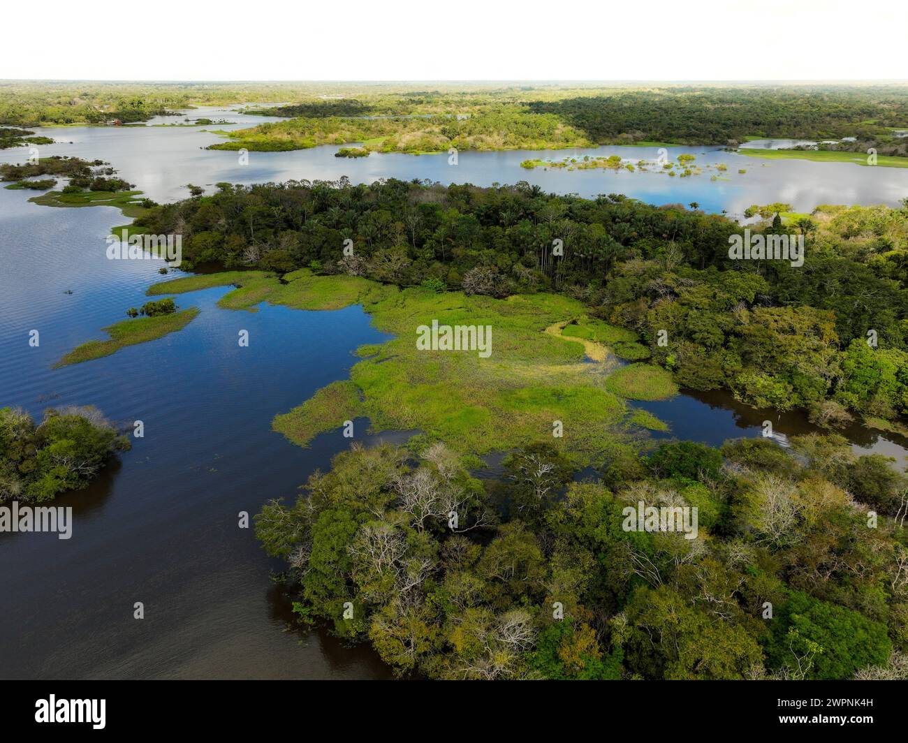 Aerial view amazon rainforest brazil hi-res stock photography and ...