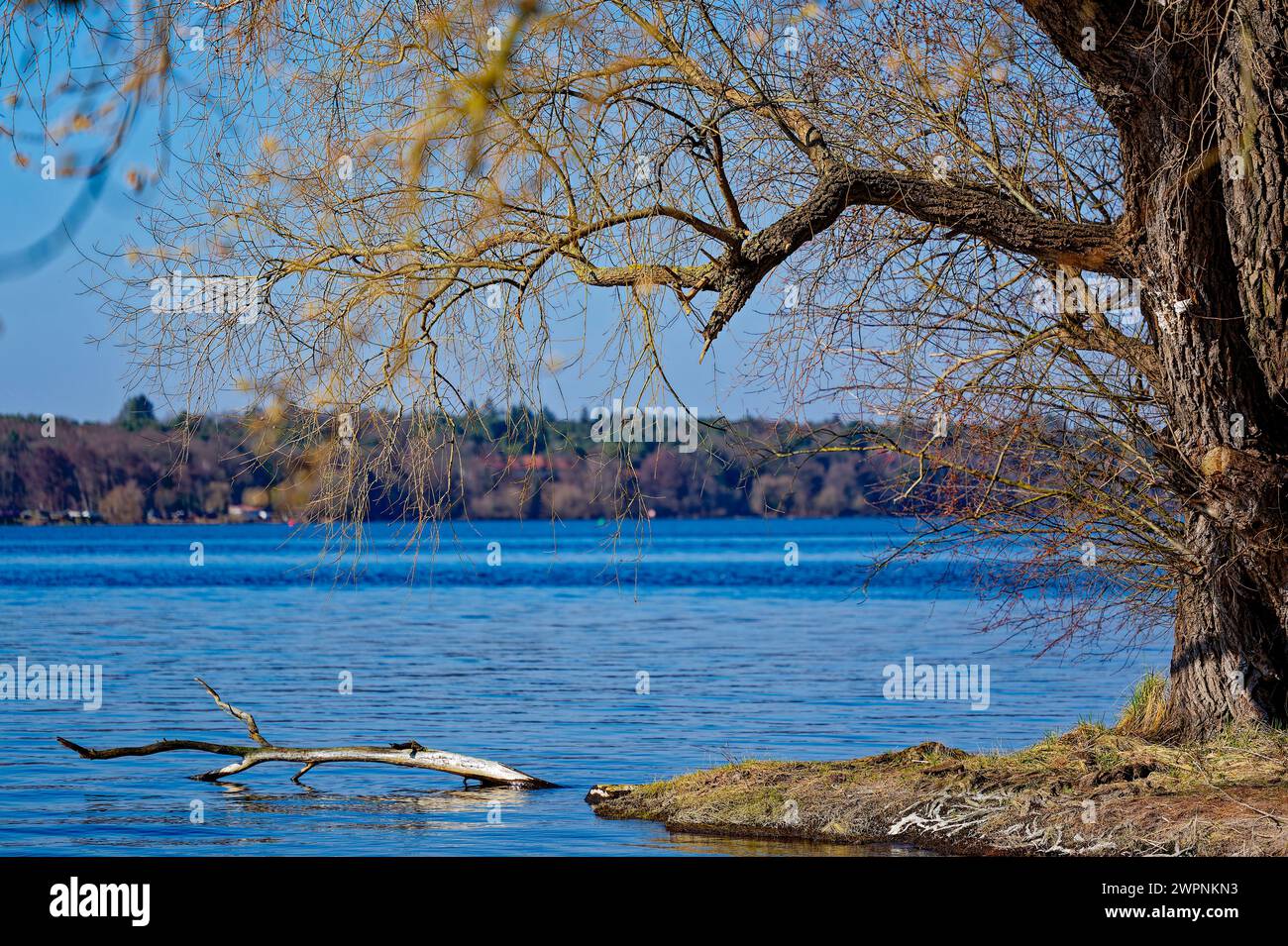 Scene at the river Havel in Berlin with a view over the water and an ...