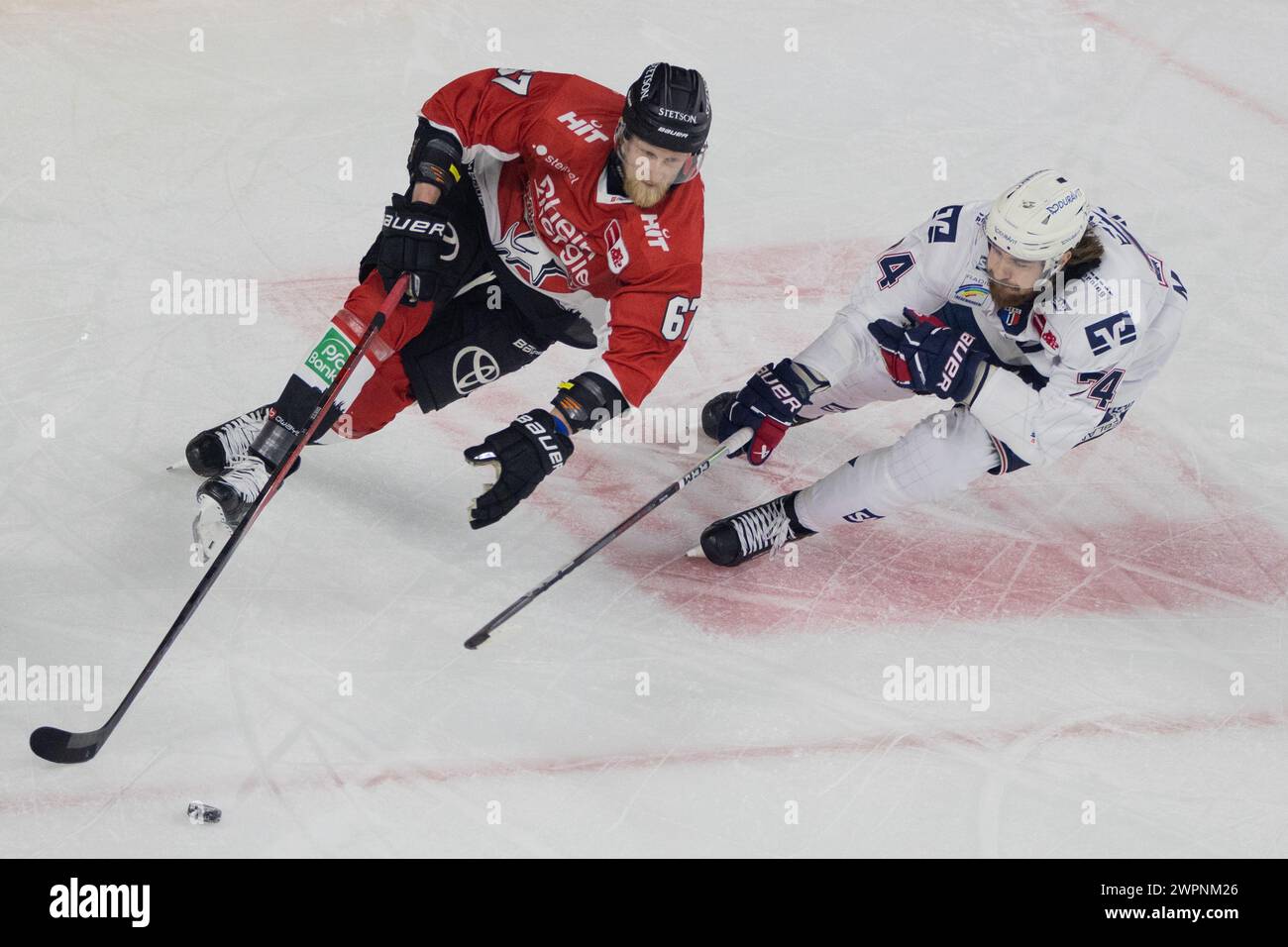 Cologne, Germany. 08th Mar, 2024. Ice hockey: DEL, Cologne Sharks ...