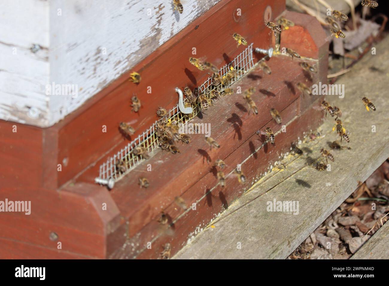 heavy Traffic jam in front of a Beehive Stock Photo - Alamy