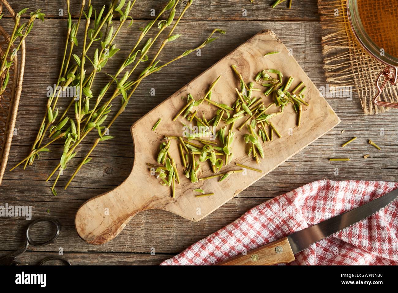 Chopped young willow branches with fresh leaves and buds harvested in ...