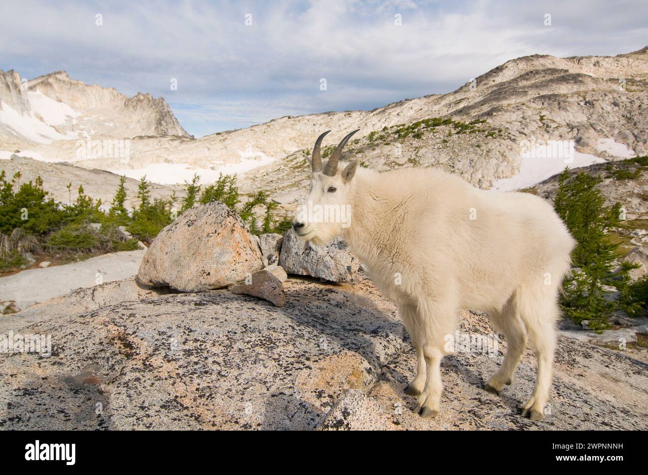 Goat rocks wilderness, lake hi-res stock photography and images - Alamy