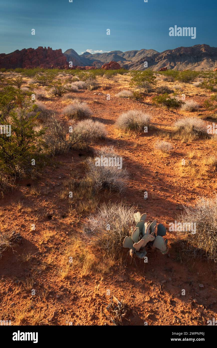 Amazing and colourful scenery in Valley of Fire State Park, Nevada, USA ...