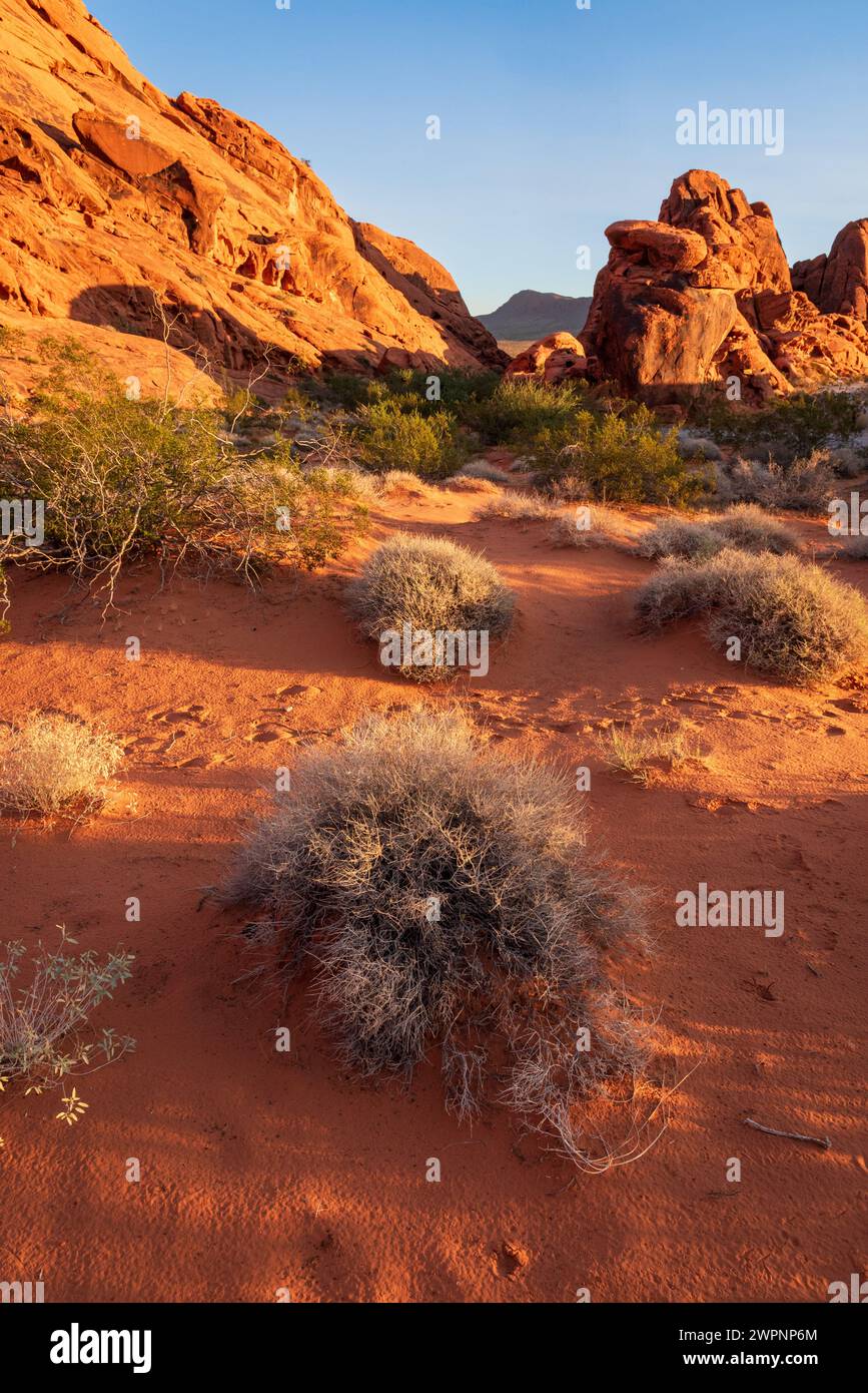 Amazing and colourful scenery in Valley of Fire State Park, Nevada, USA ...