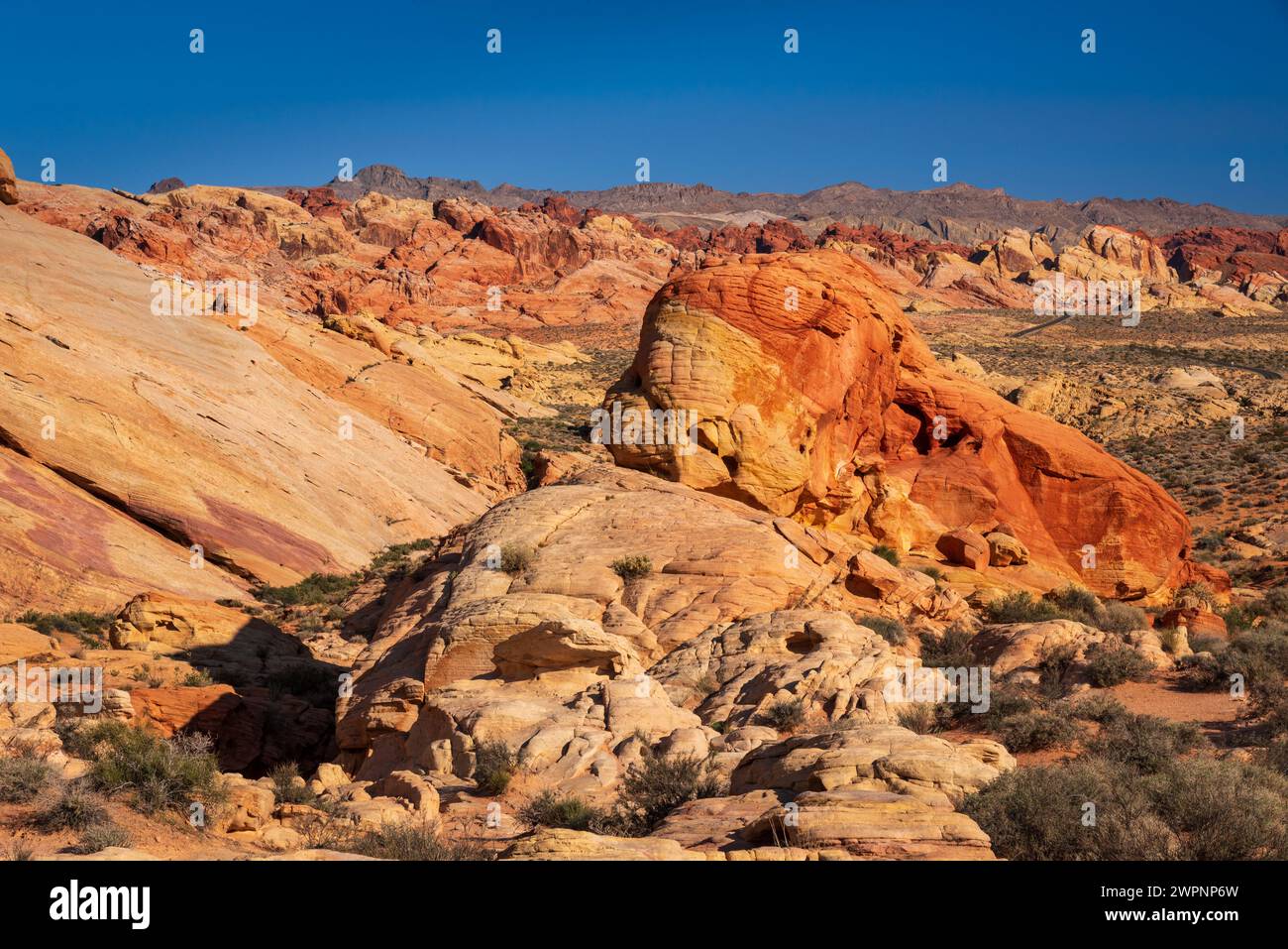 Amazing and colourful scenery in Valley of Fire State Park, Nevada, USA ...
