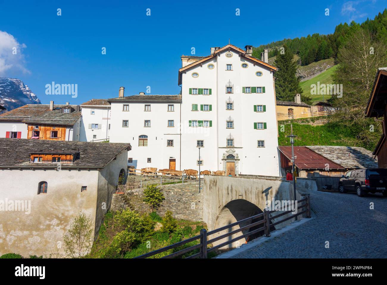 Splügen, house Schorsch-Haus, cattle drive in street in Viamala ...