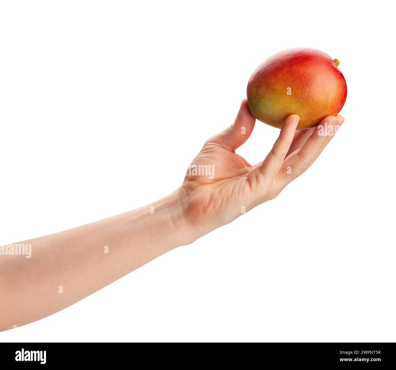 Hand holding mango hi-res stock photography and images - Alamy