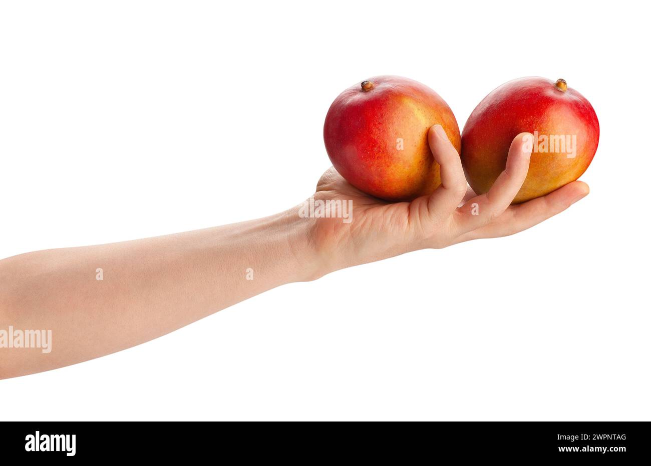 Hand holding mango Cut Out Stock Images & Pictures - Alamy