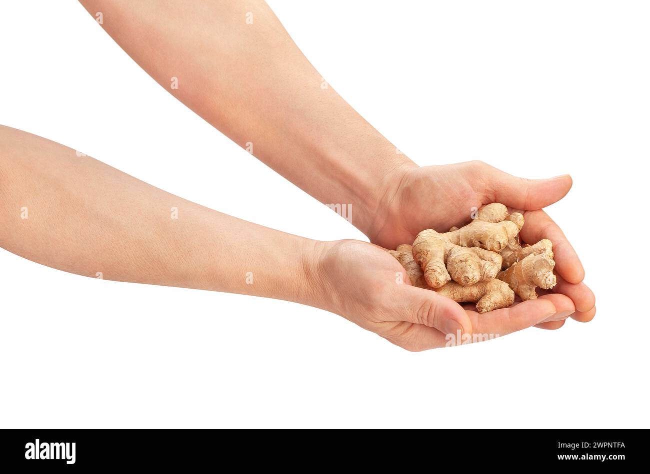 ginger in hand path isolated on white Stock Photo - Alamy