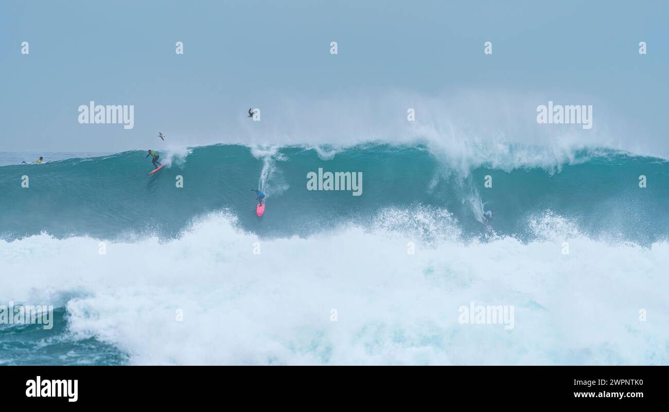 "Giant Cow" surf competition. Storm surge with big waves. Santander ...