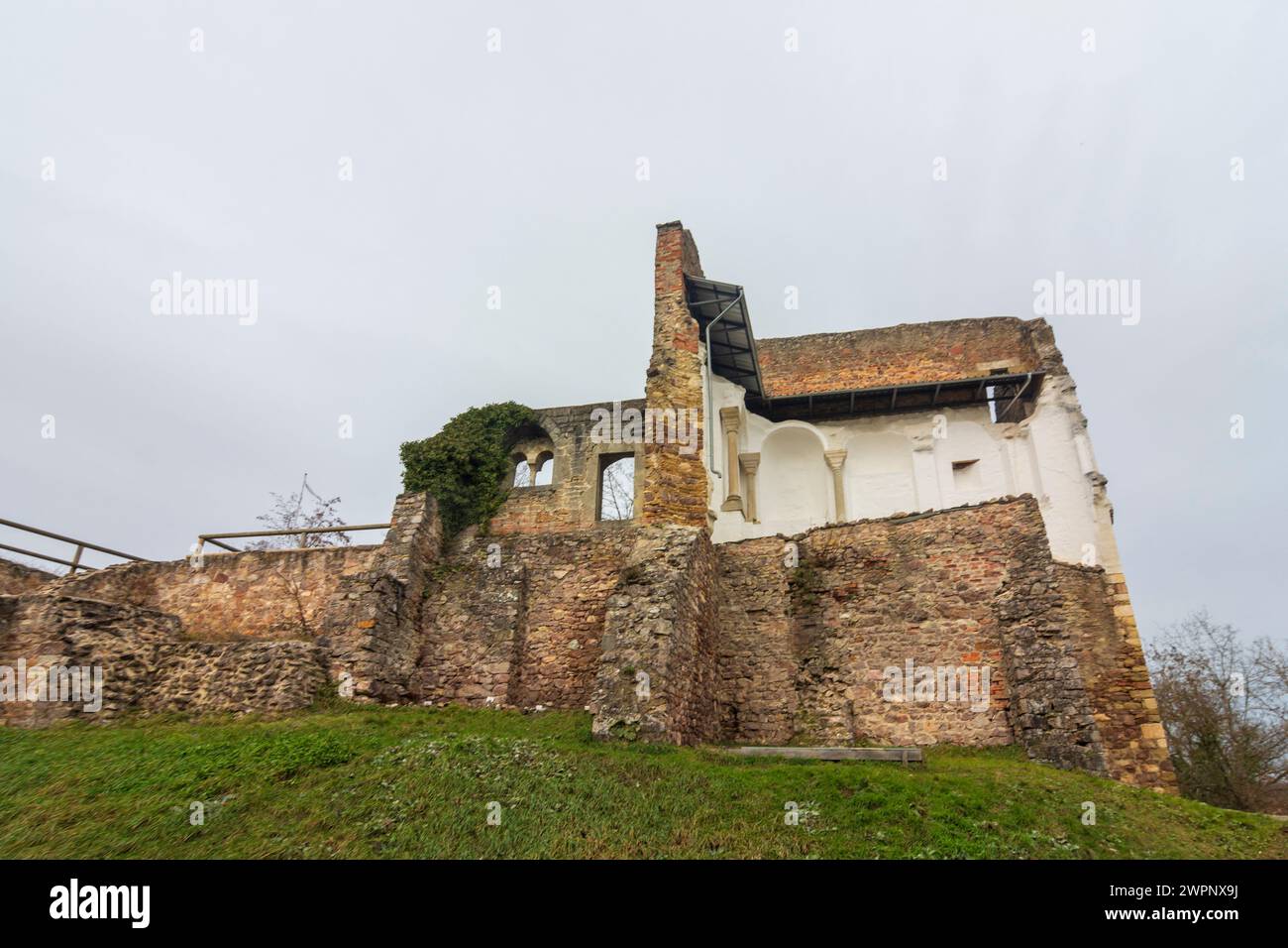 Donaustauf, Donaustauf Castle ruin, river Donau (Danube) in Oberpfalz ...