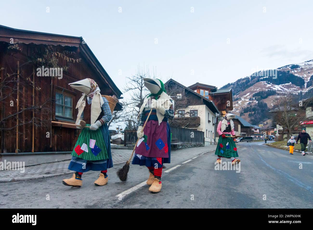 Scissors beaks hi-res stock photography and images - Alamy