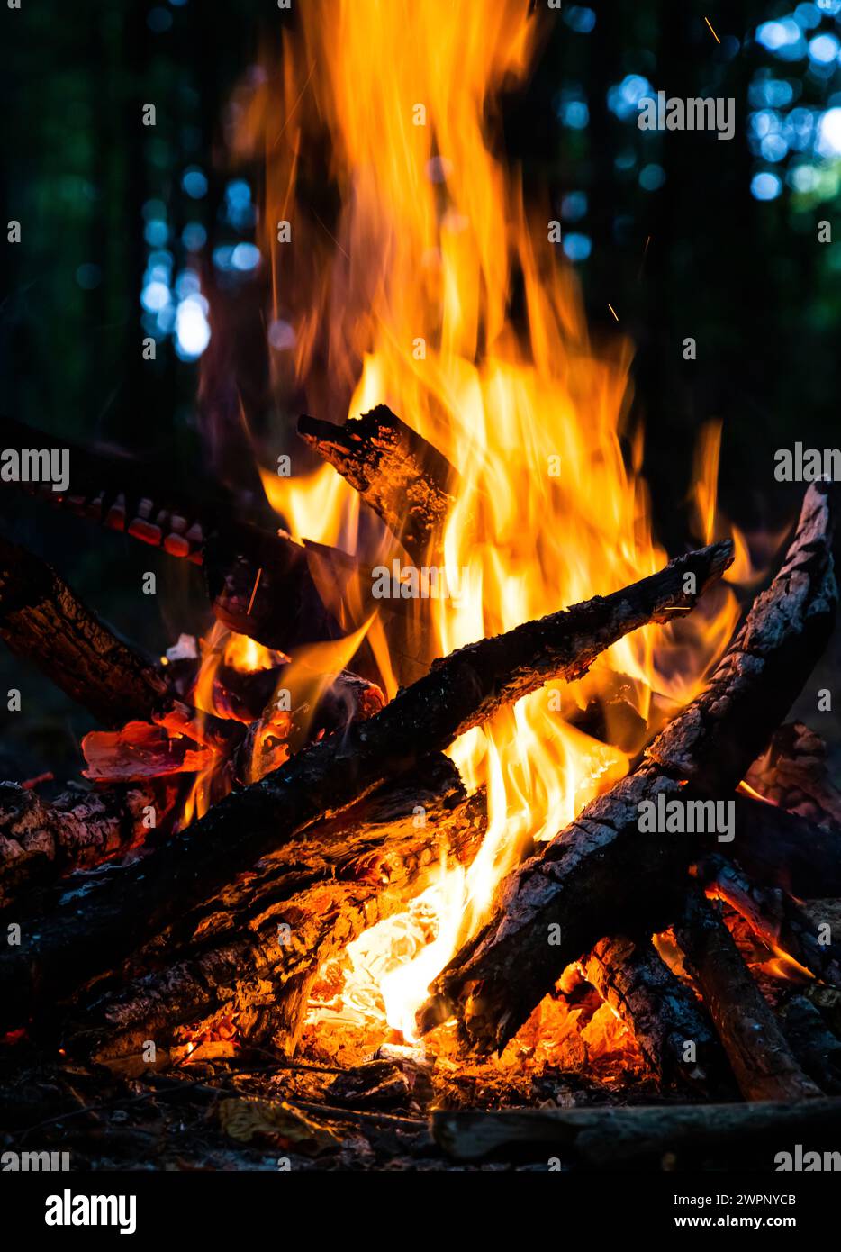 Burning dry branches in fire hi-res stock photography and images - Alamy