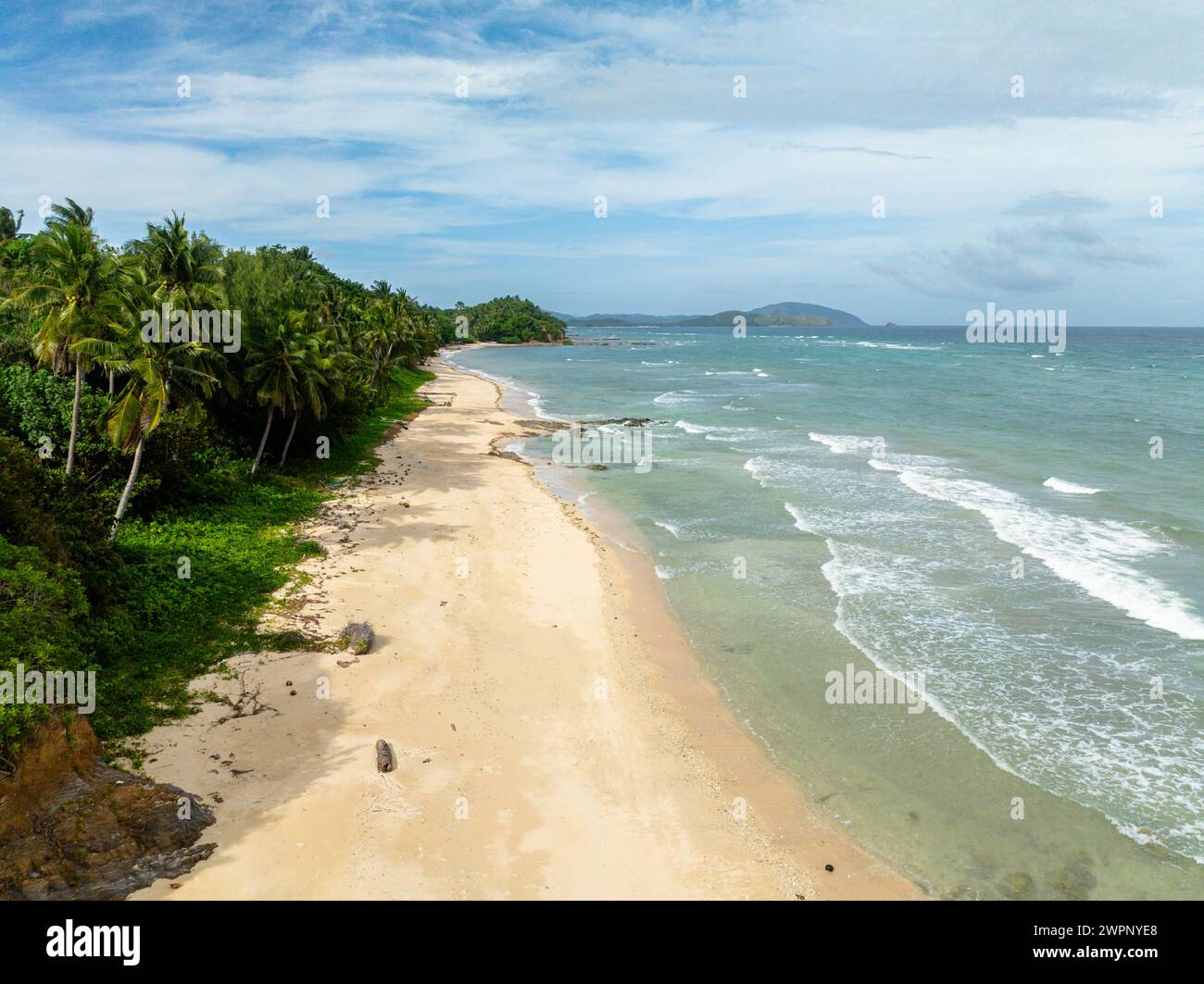 Beach with coconut trees and white sand with clear sea waves. Santa Fe ...
