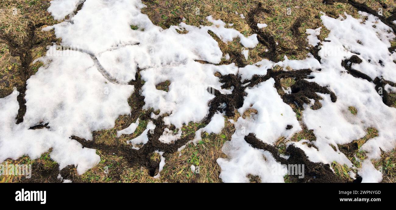 Vole tracks in agricultural land, unpopular with farmers Stock Photo ...