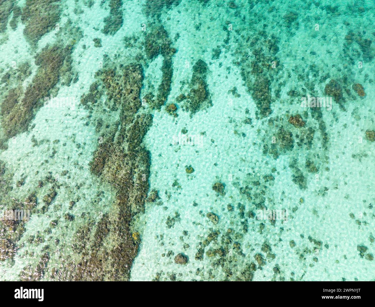 Seafloor with turquoise water texture and tropical coral reef. Santa Fe ...