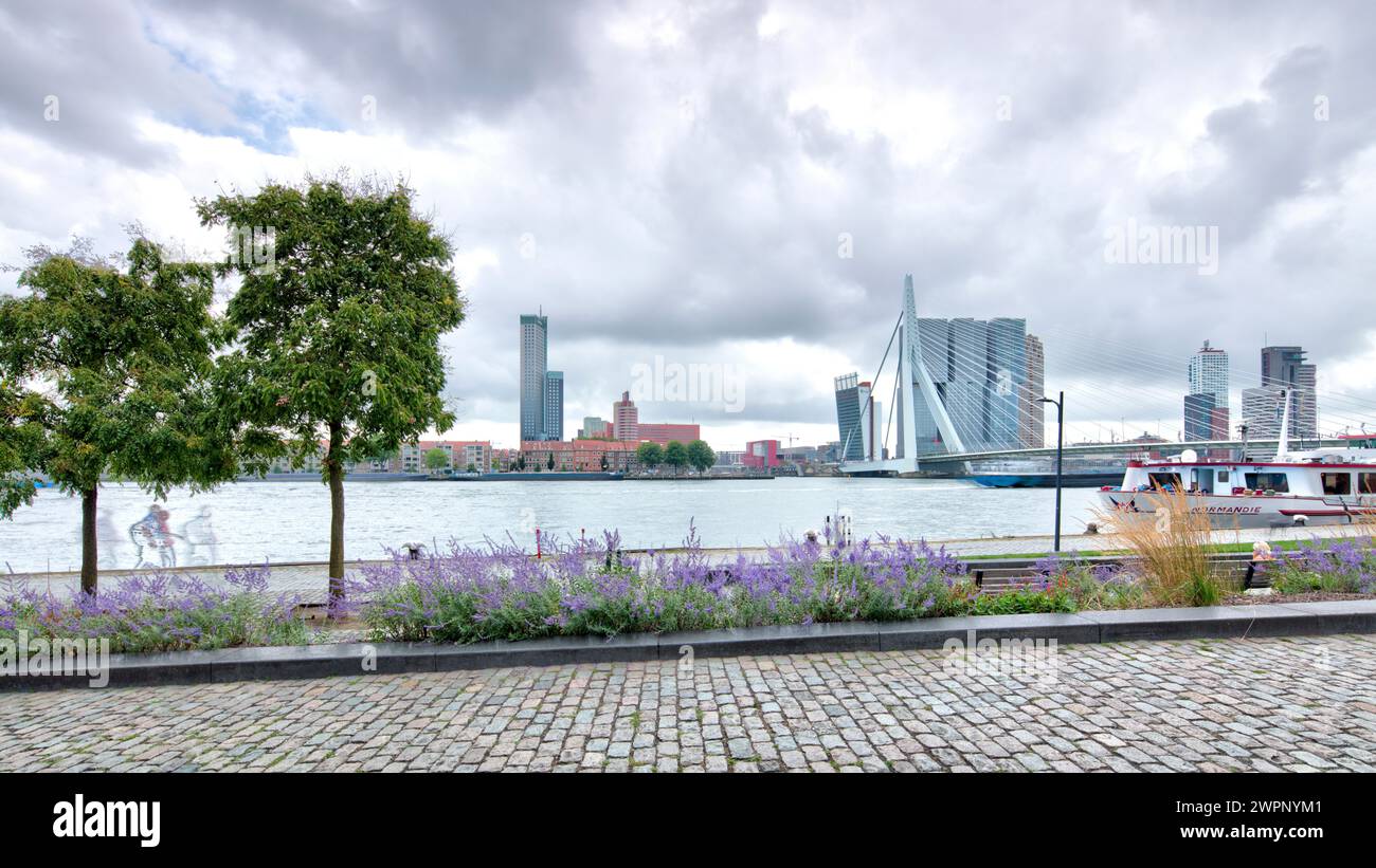 Boompjeskade, Erasmus Bridge, cable-stayed bridge, Nieuwe Maas, Rhine ...