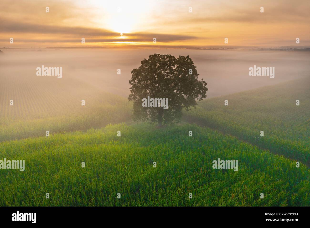 Germany sunrise hi-res stock photography and images - Alamy