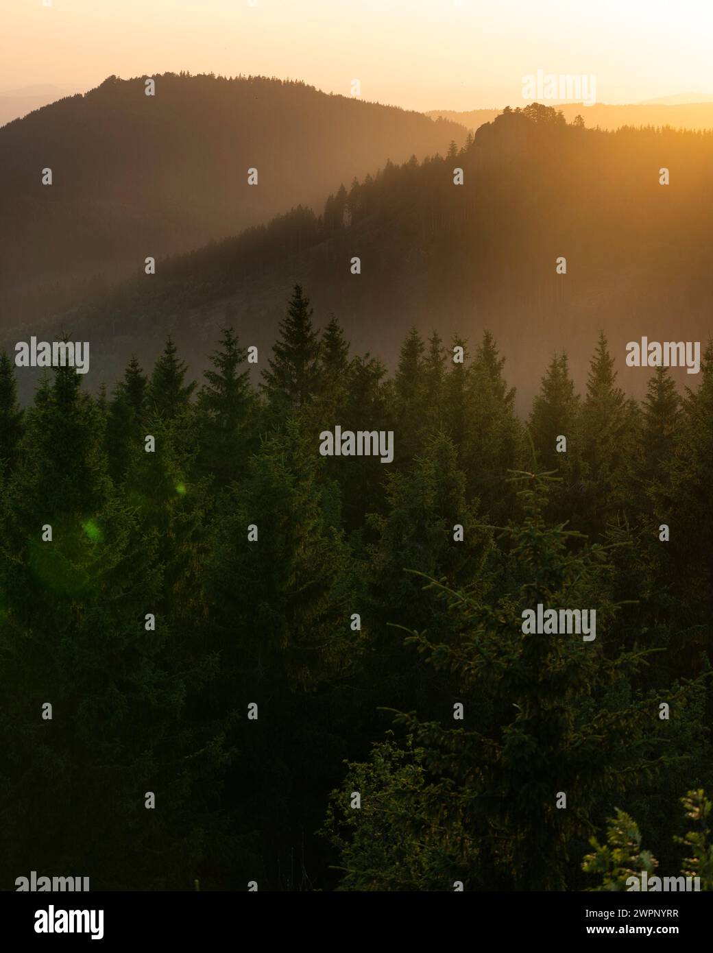 The thuringian forest hi-res stock photography and images - Alamy