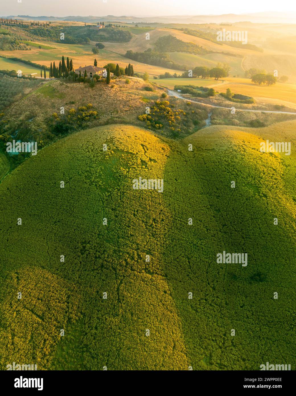 Tuscany cypress avenue in italy hi-res stock photography and images - Alamy