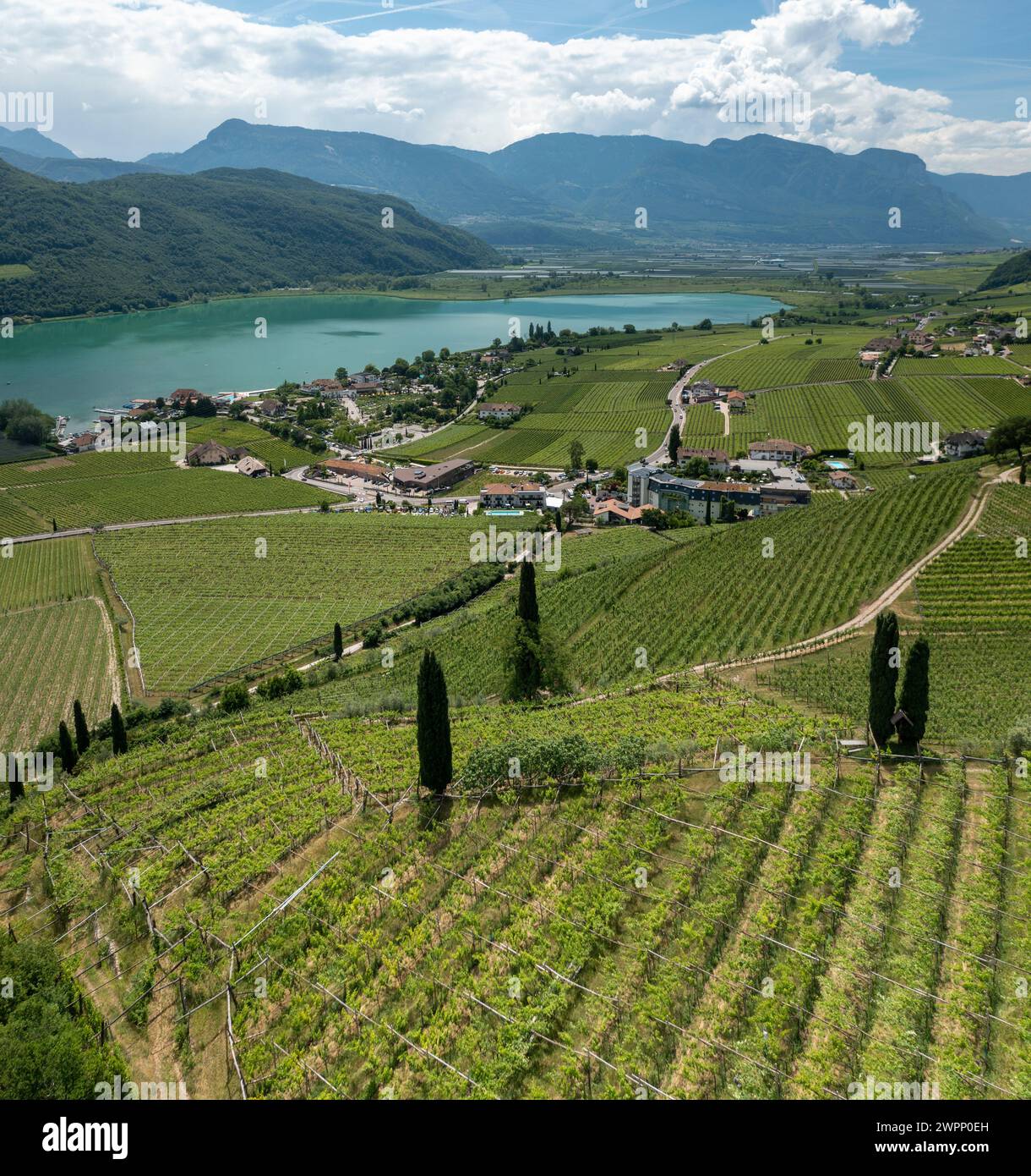 Aerial view vineyards in south hi-res stock photography and images - Alamy