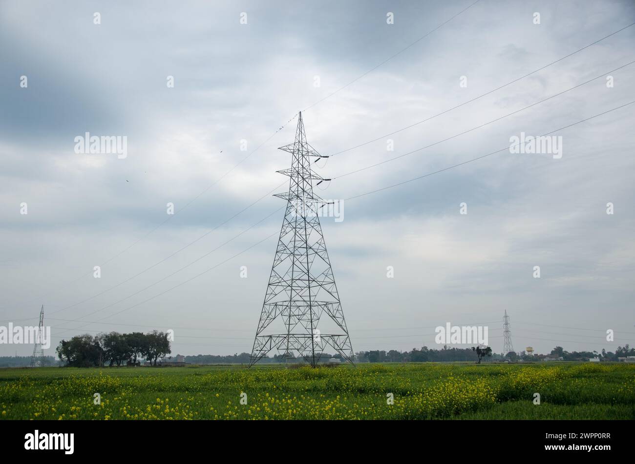 Electric power line pole between the crop and greenland Stock Photo - Alamy