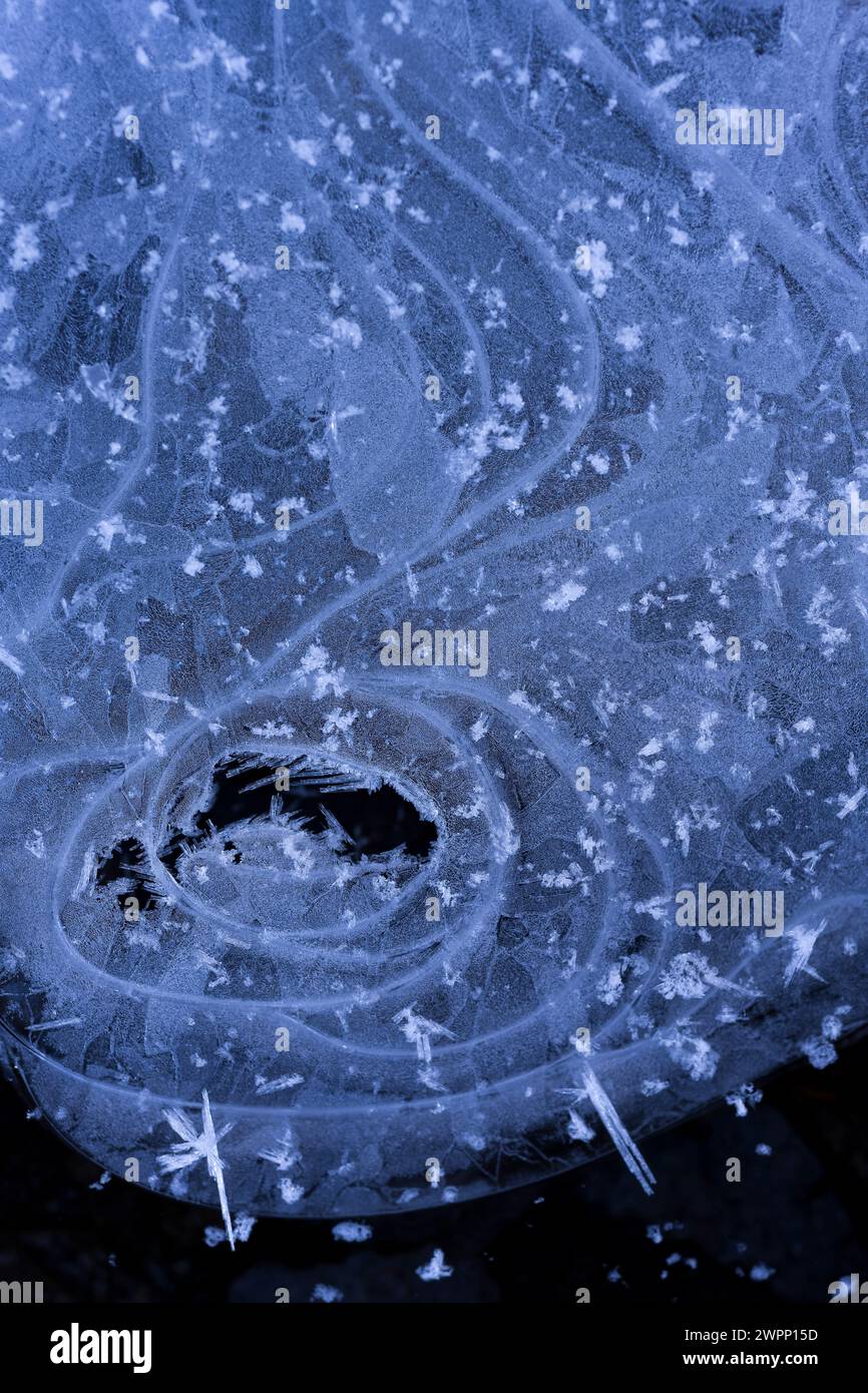 filigree patterns and structures in the ice, curved lines and ice ...