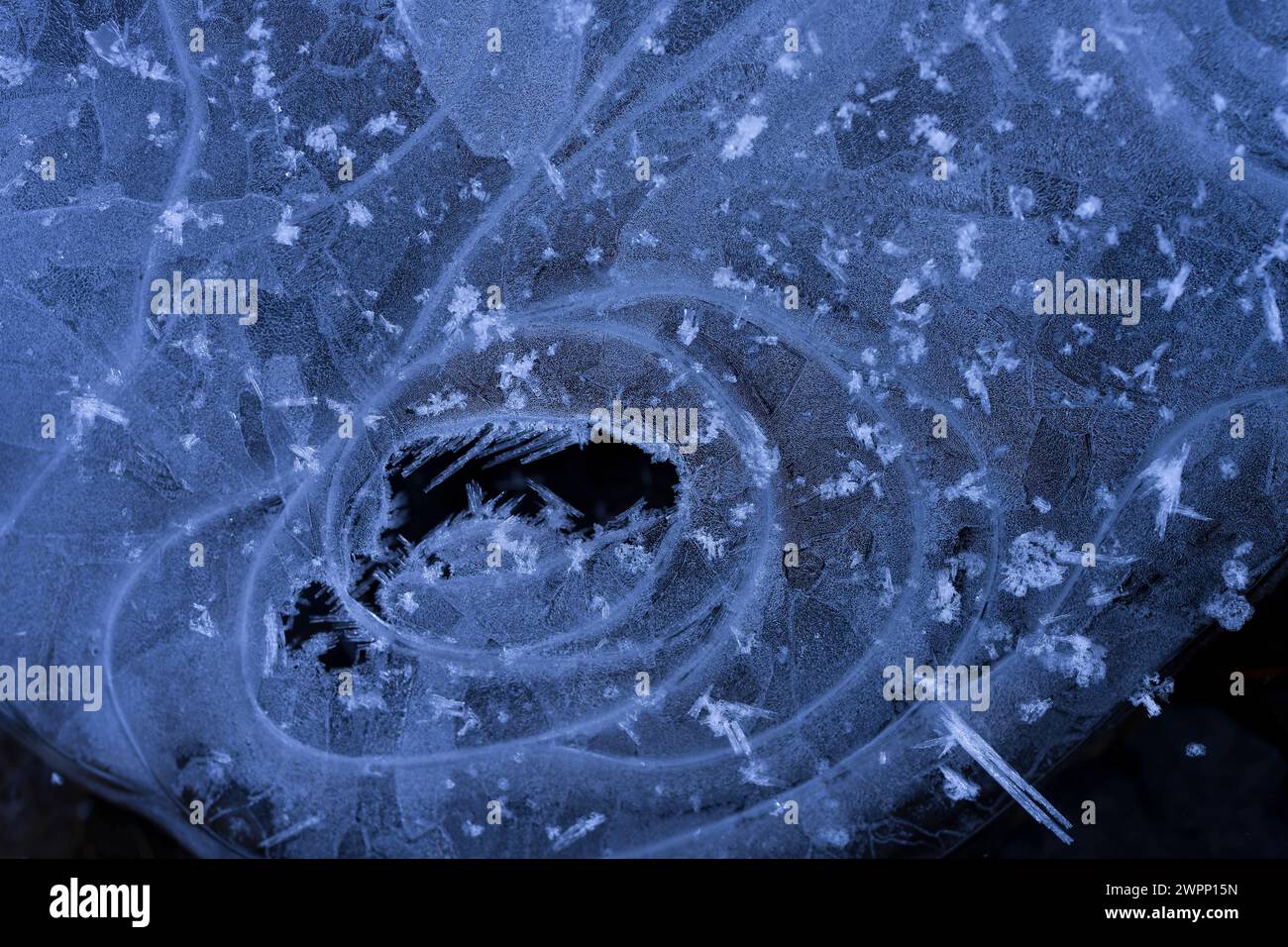 filigree patterns and structures in the ice, curved lines and ice ...