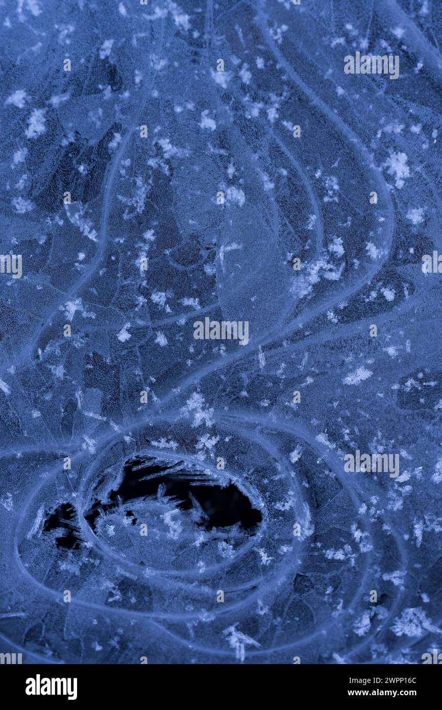filigree patterns and structures in the ice, curved lines and ice ...