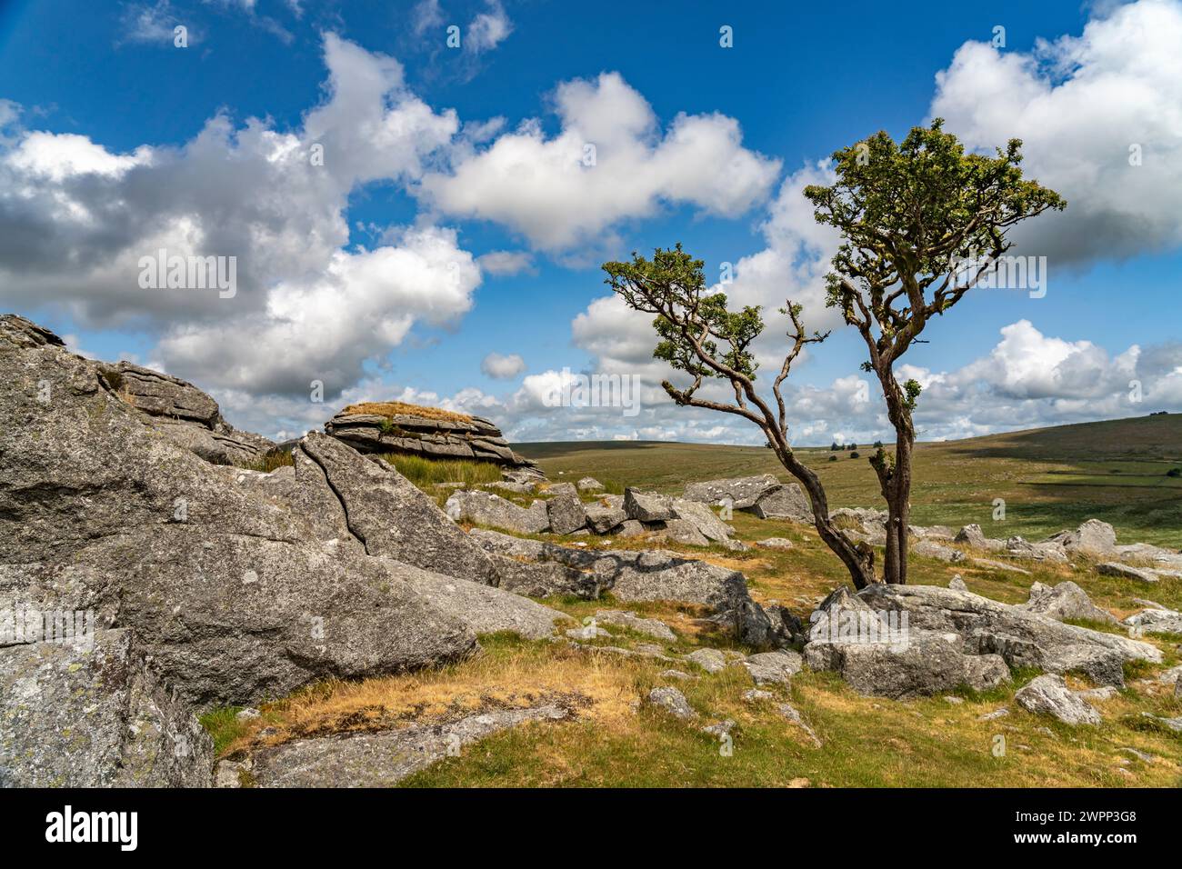 Landscape at the rock formation King's Tor in Dartmoor, Devon, England ...
