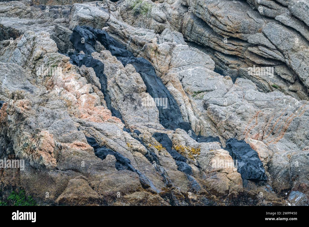 Dark colored igneous rock intruded into older, lighter colored granite ...
