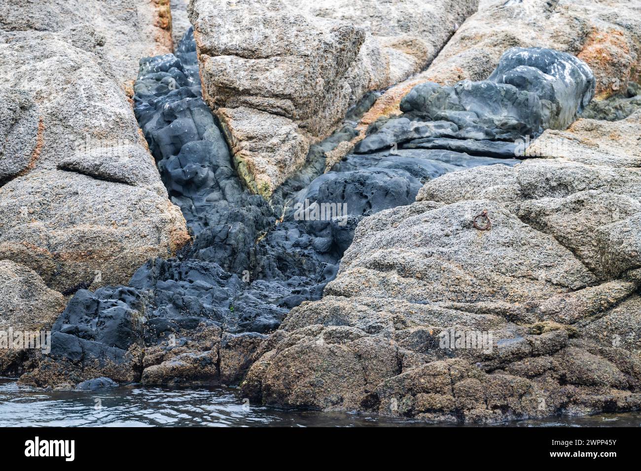 Dark colored igneous rock intruded into older, lighter colored granite ...