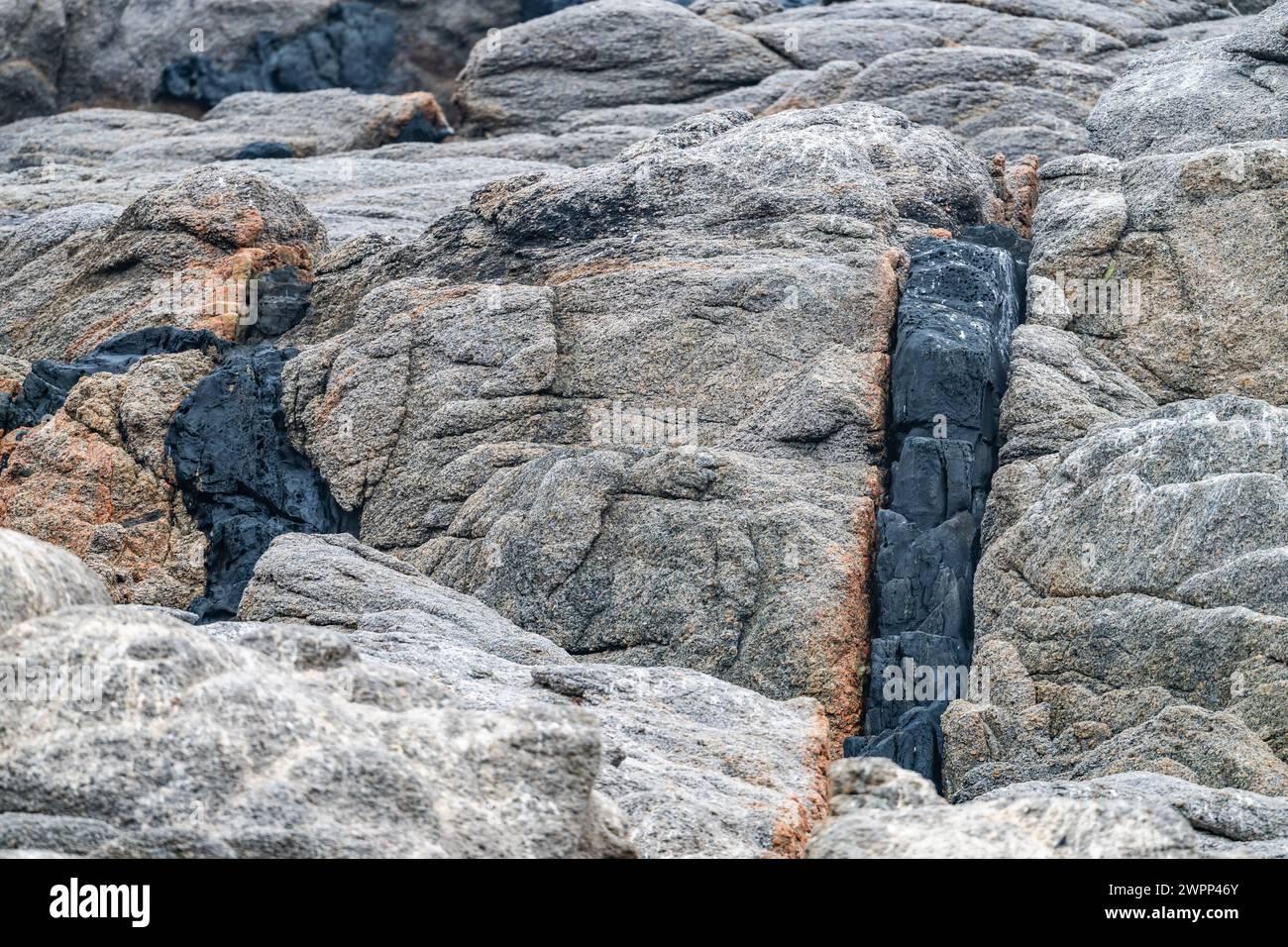 Dark colored igneous rock intruded into older, lighter colored granite ...