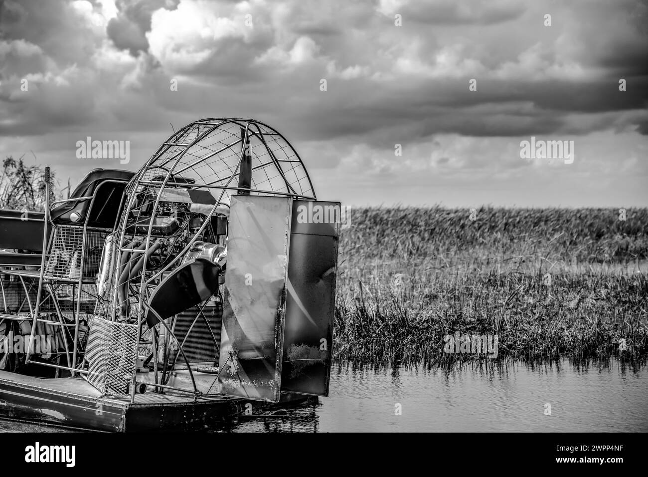 airboat in the everglades of Florida with grass and wetland swamp in ...