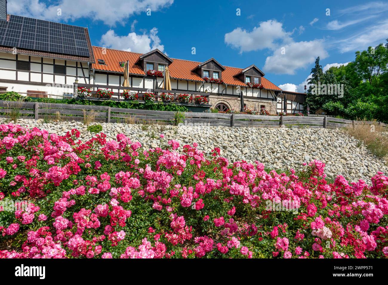 The ruins of Schaumburg Castle, also known as Schaumberg, are located ...