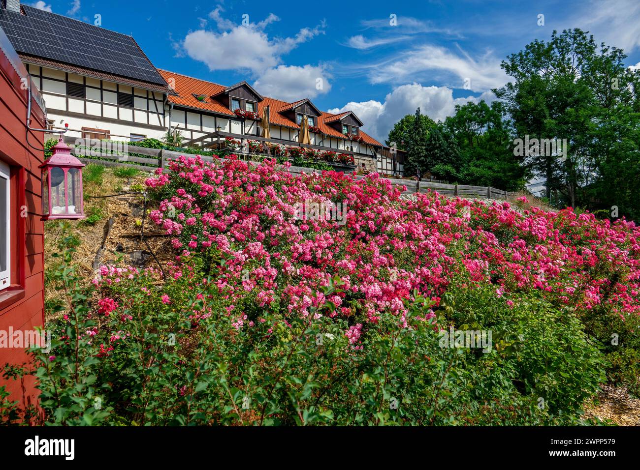 The ruins of Schaumburg Castle, also known as Schaumberg, are located ...