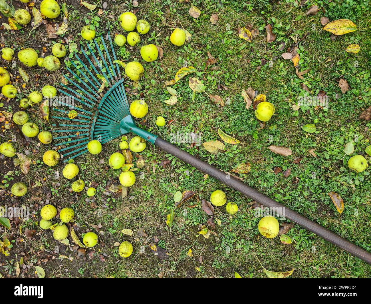 Lawn rake hi-res stock photography and images - Alamy