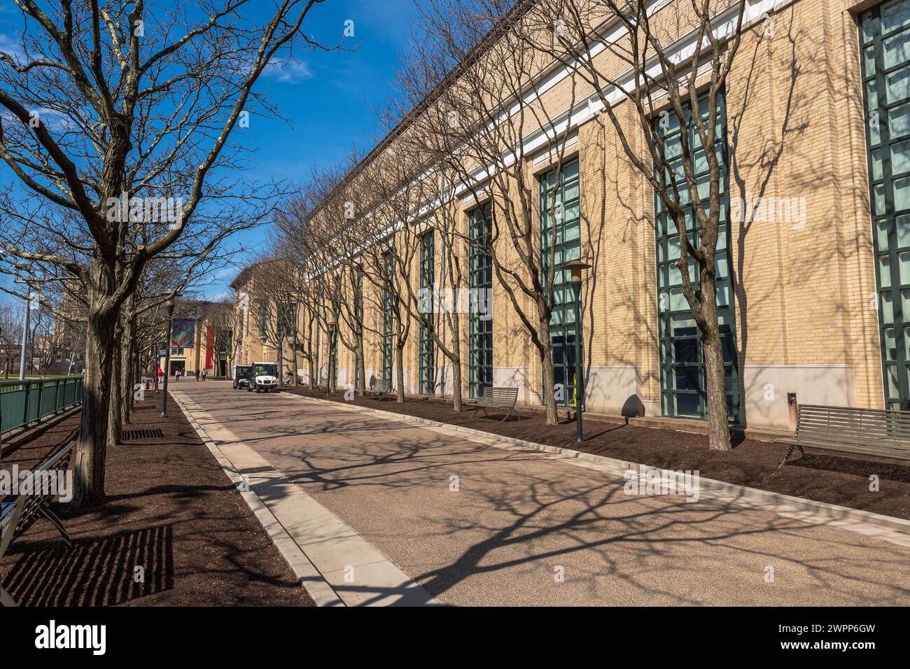 A tree lined sidewalk next to the Wiegand Gymnasium pool building on ...