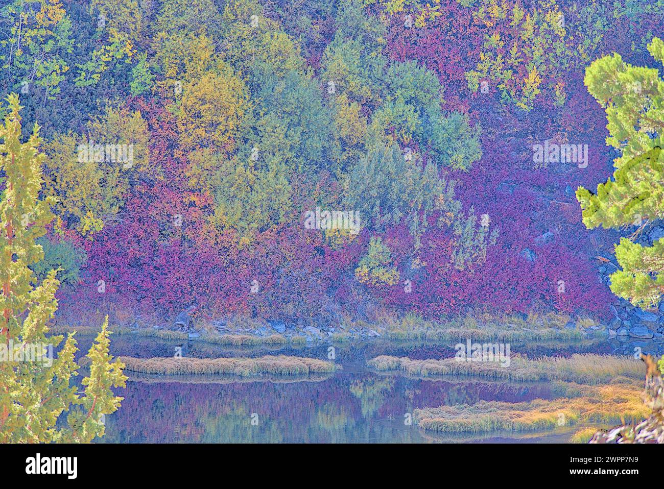 Autumn colors in Lundy Canyon, California Stock Photo - Alamy