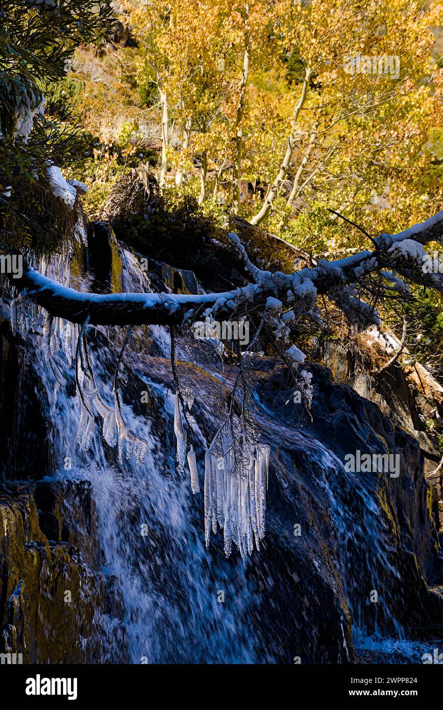 Yellow aspen leaves above a frozen waterfalls on the black rock in ...