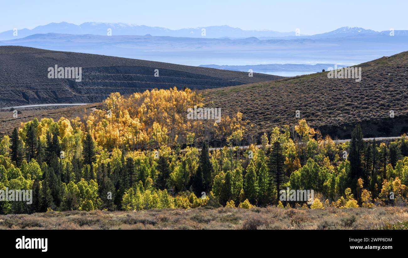 Mountains and changing color trees with Mono lake in the distance Stock ...